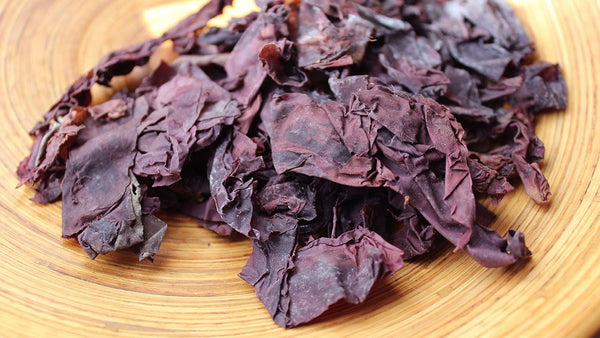 Dulse Capsules | Master The Body - Master The Body